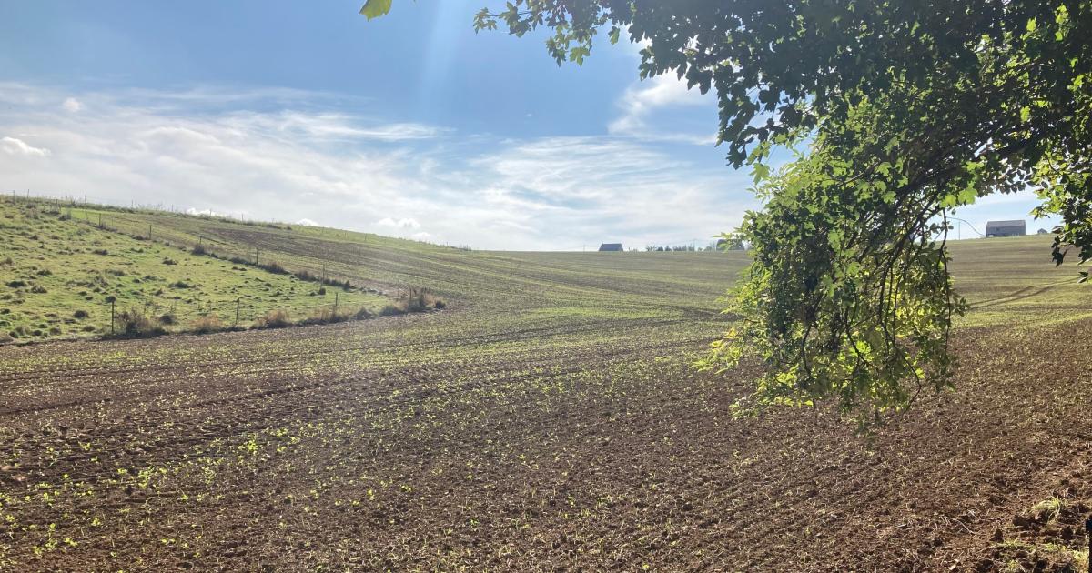 Bonnes pratiques phytosanitaires : choix du produit adapté et ...