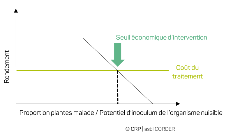 Bonnes pratiques phytosanitaires : choix du produit adapté et ...